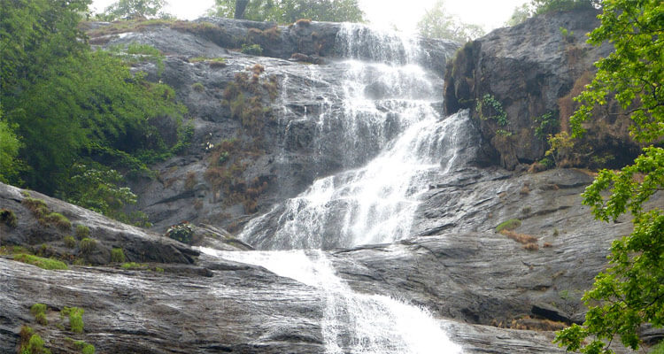 Cheeyappara Waterfalls Munnar (Timings, Entry Fee, Images, Best time to ...