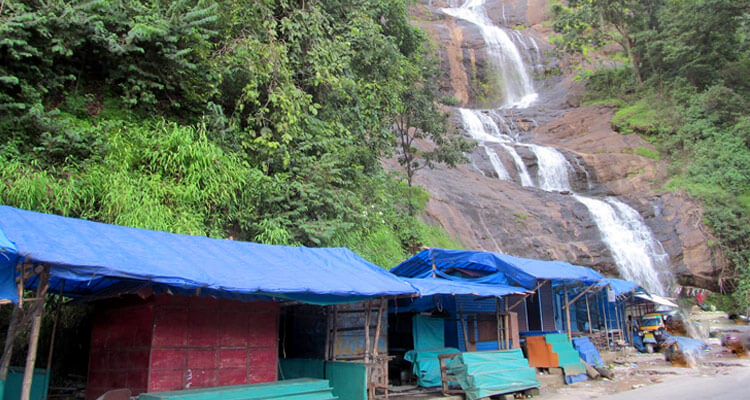 Cheeyappara Waterfalls Munnar (Timings, Entry Fee, Images, Best time to ...