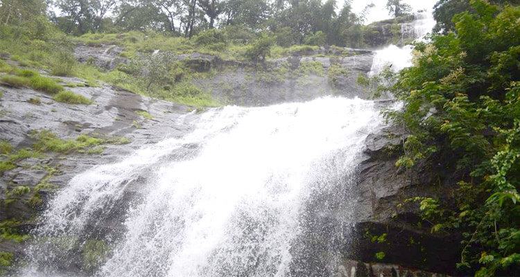 Cheeyappara Waterfalls Munnar (Timings, Entry Fee, Images, Best time to ...