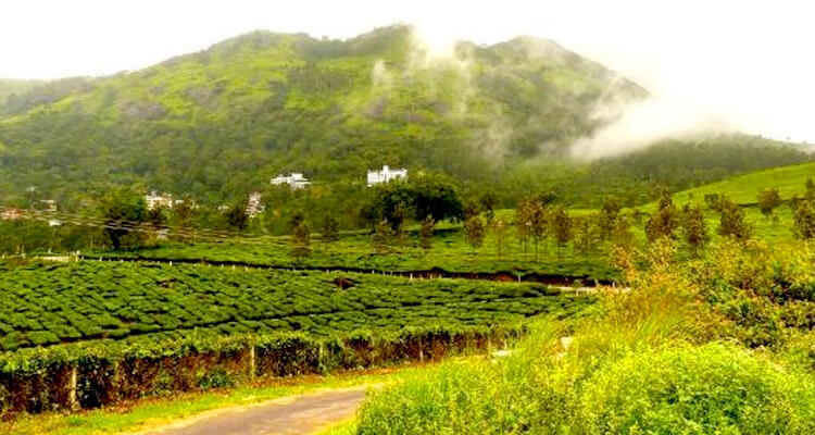 Lockhart / Lockheart Gap Munnar (Entry Fee, Timings, Images & Location ...