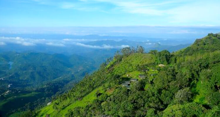 Lockhart / Lockheart Gap Munnar (Entry Fee, Timings, Images & Location ...