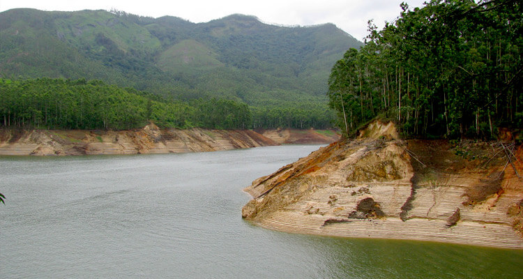 Mattupetty Dam Munnar (Timings, History, Entry Fee, Images ...