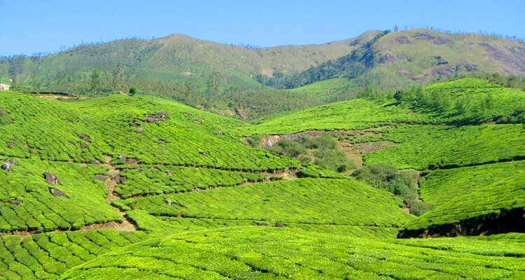 Photo Point Munnar (Timings, History, Entry Fee, Images & Information ...