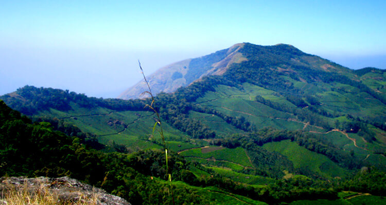Pothamedu Viewpoint Munnar (Entry Fee, Timings, Images & Location ...