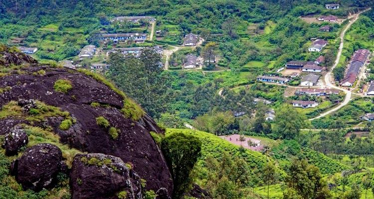Pothamedu Viewpoint Munnar (Entry Fee, Timings, Images & Location ...