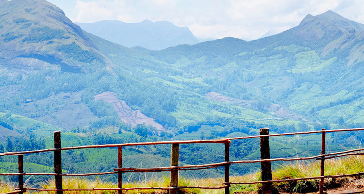 Rajamala Munnar (Timings, History, Entry Fee, Images & Information ...