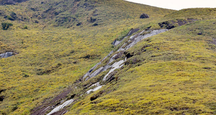 Rajamala Munnar (Timings, History, Entry Fee, Images & Information ...