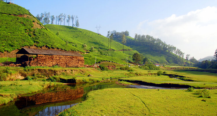 Rajamala Munnar (Timings, History, Entry Fee, Images & Information ...