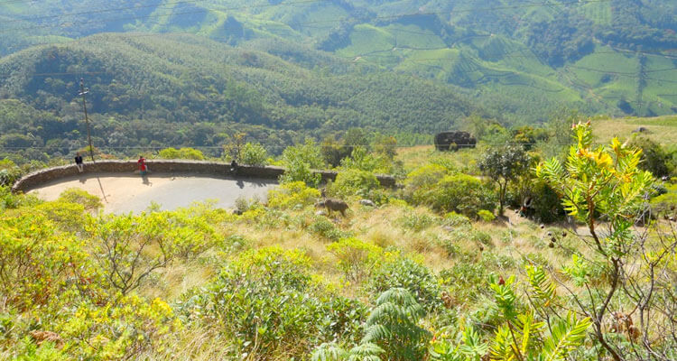 Rajamala Munnar (Timings, History, Entry Fee, Images & Information ...