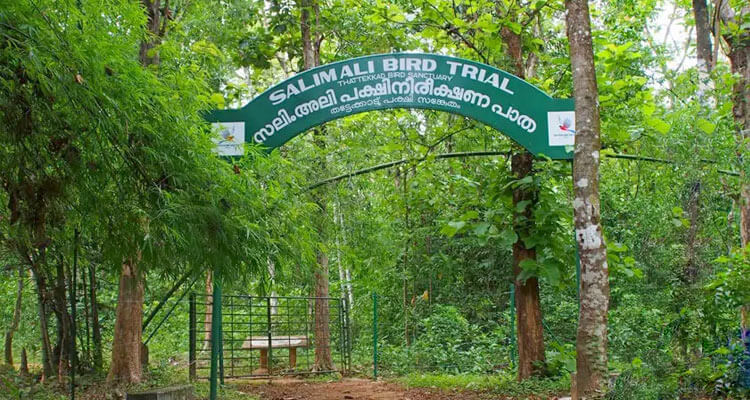 Salim Ali Bird Sanctuary/Thattekad Bird Sanctuary Munnar (Timings ...