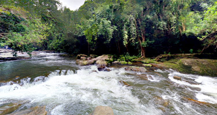 Thommankuthu Falls Munnar (Timings, Entry Fee, Images, Best time to ...