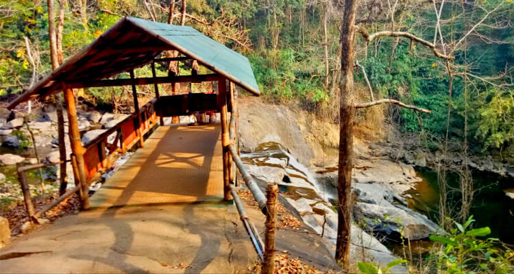 Thommankuthu Falls Munnar (Timings, Entry Fee, Images, Best time to ...