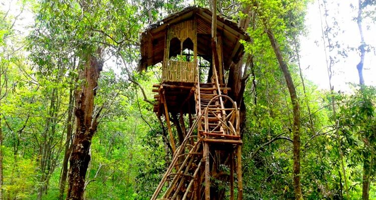 Thommankuthu Falls Munnar (Timings, Entry Fee, Images, Best time to ...