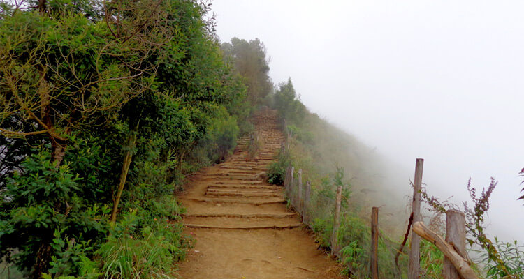 Top Station Munnar (Entry Fee, Timings, Images & Location) - Munnar Tourism