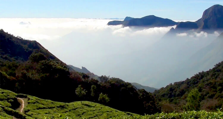 Top Station Munnar (Entry Fee, Timings, Images & Location) - Munnar Tourism